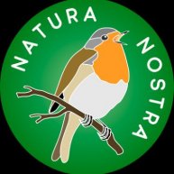 Иконка канала Онлайн-кружки Natura nostra