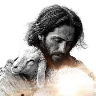 Иконка канала Адвентисты Железногорска