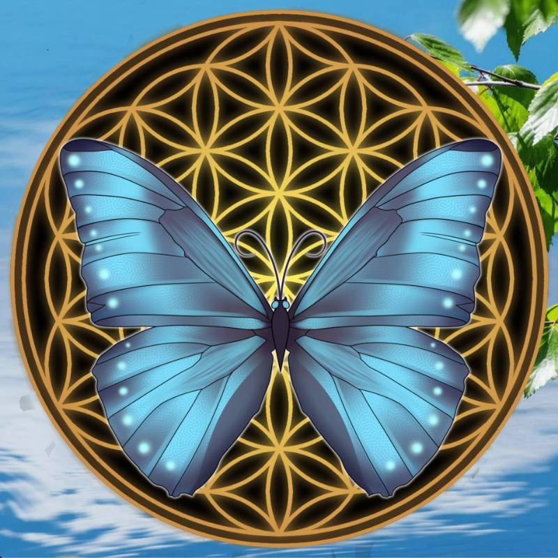 Иконка канала Гусе-Бабочка