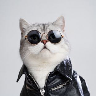 Иконка канала Детский мир