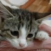 Иконка канала Малик
