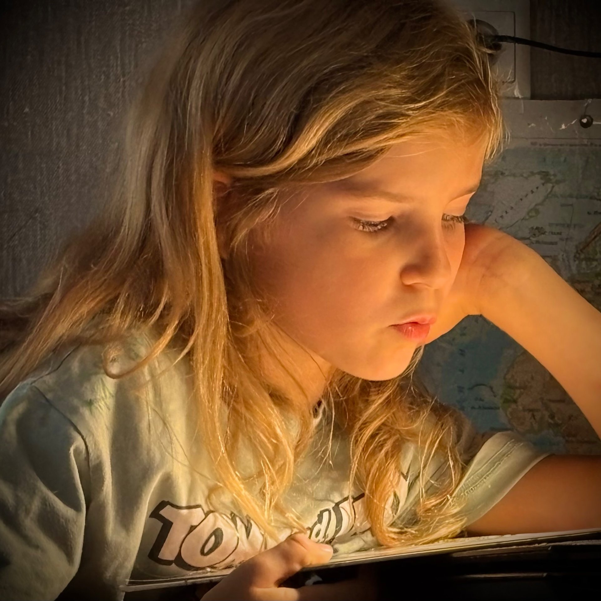 Иконка канала ЛисинБлог