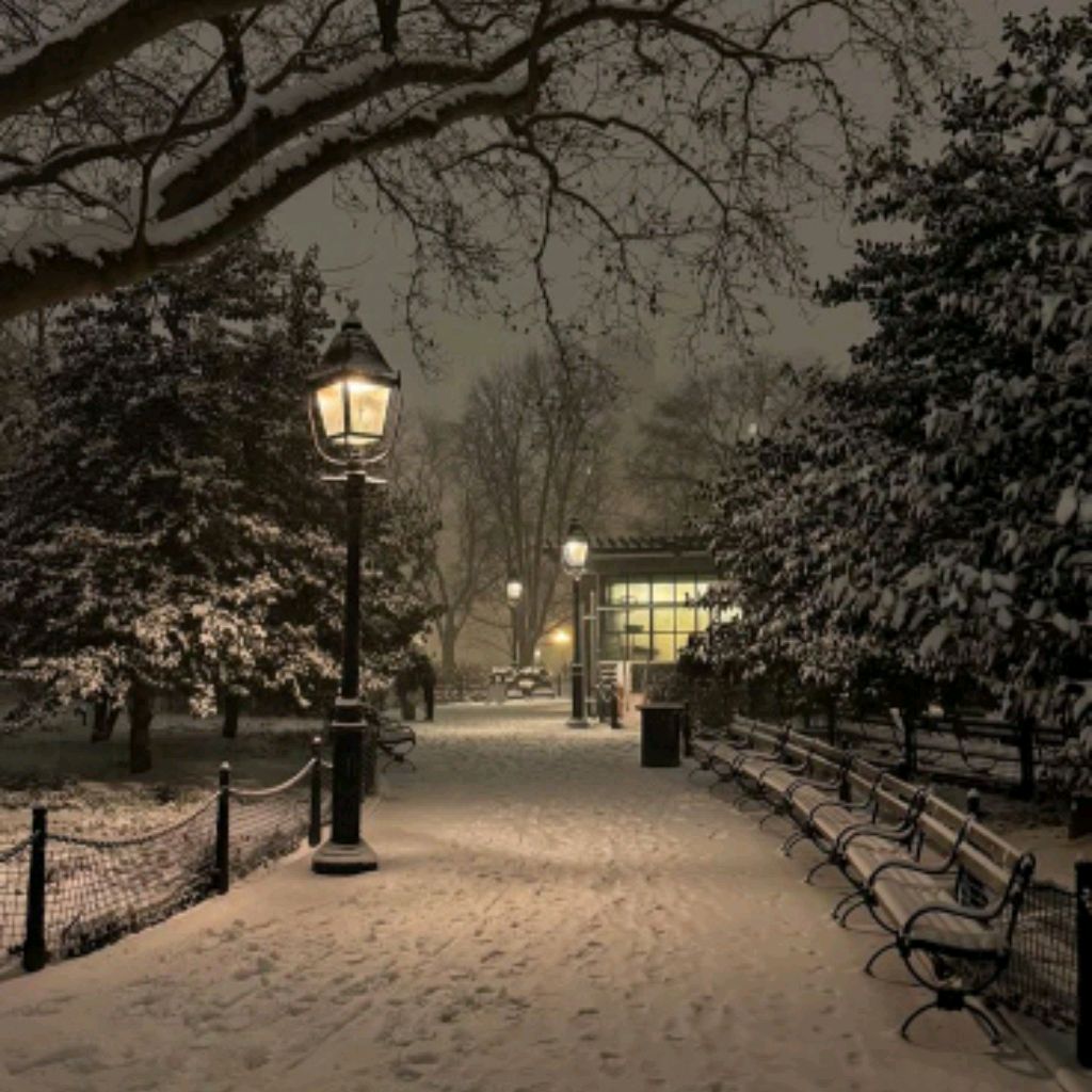 Иконка канала Дорогой Мой Друг