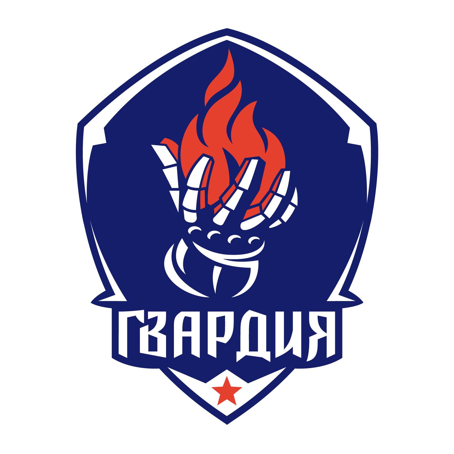 Иконка канала Клуб единоборств «Гвардия» Санкт-Петербург