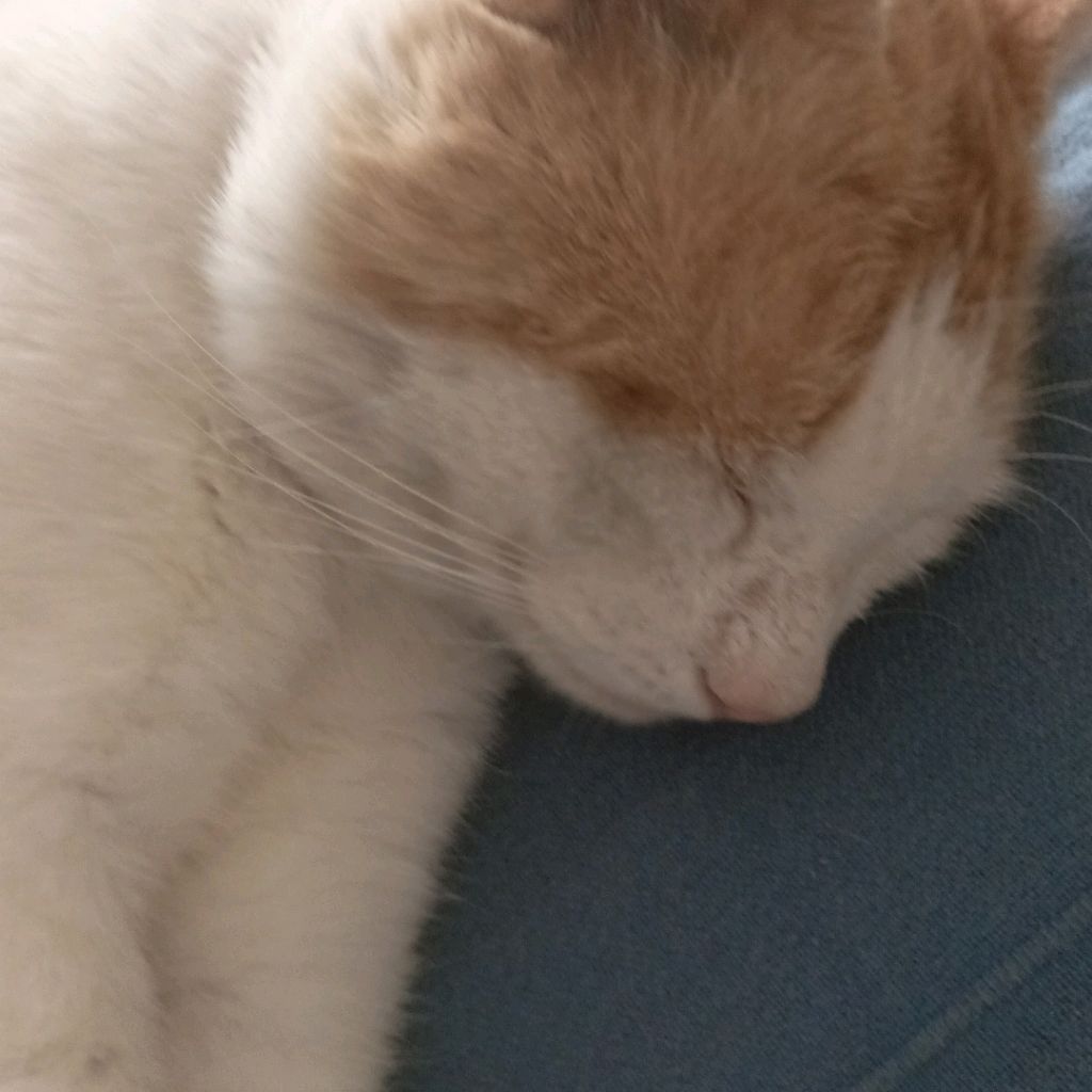 Иконка канала YSTIN🫲😊🫱