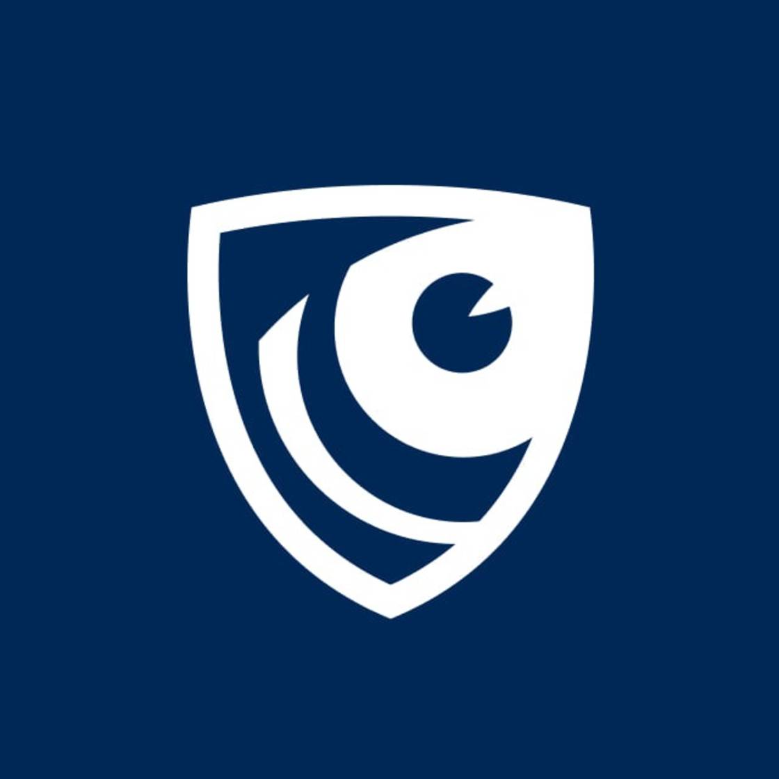 Иконка канала Falcongaze