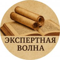 Иконка канала Экспертная волна