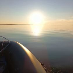 Иконка канала Likebeer Fishing