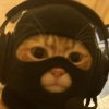 Иконка канала котяра game