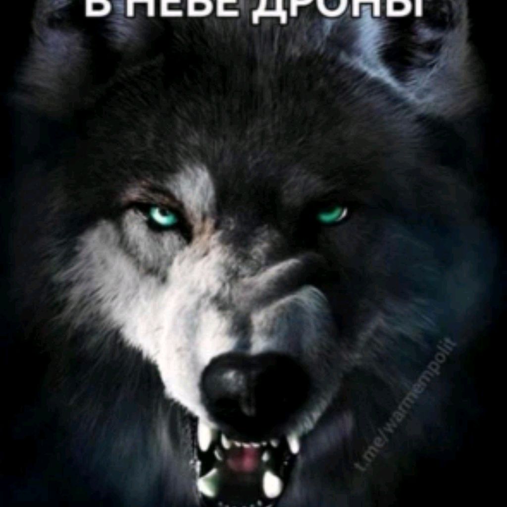 Иконка канала Zibarev Egr