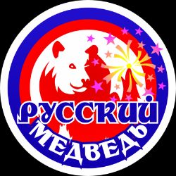 Иконка канала Русский Медведь. Фейерверки