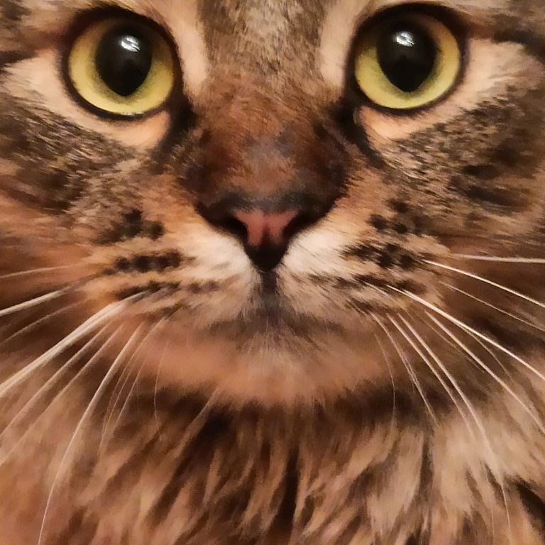 Иконка канала Лего Друзья