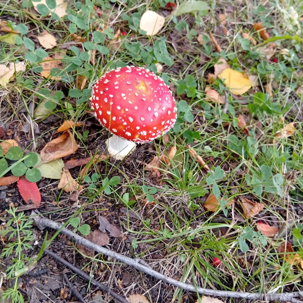 Иконка канала channel64986349