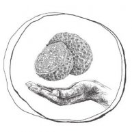 Иконка канала Truffle_piggi