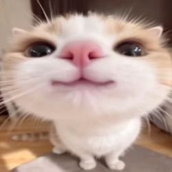 Иконка канала lee