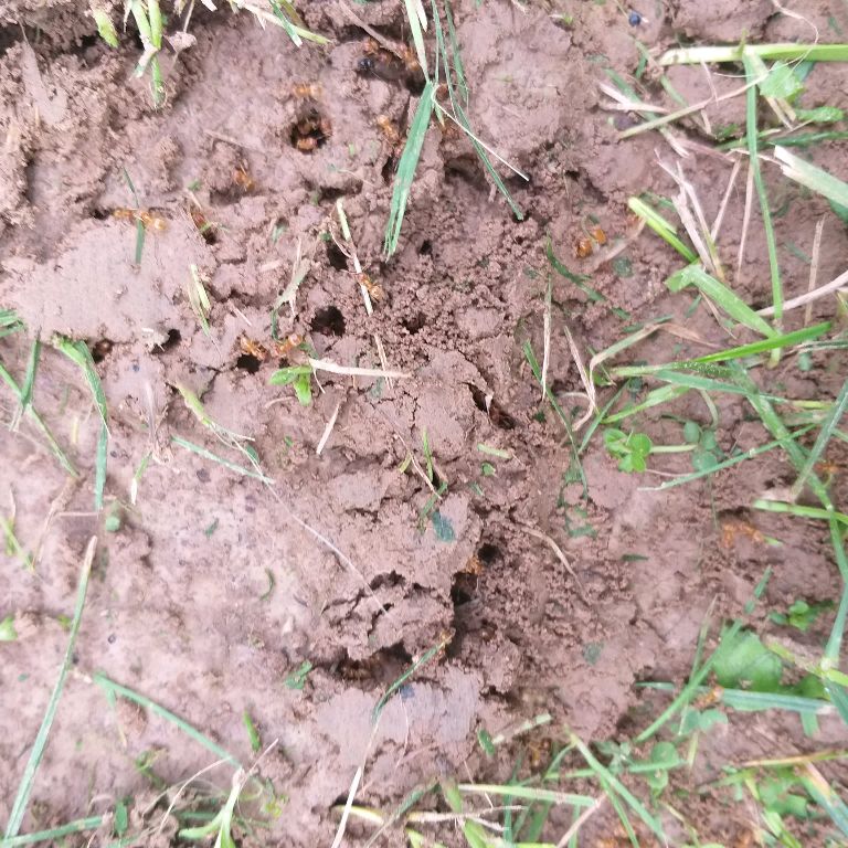 Иконка канала astash4