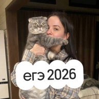 Иконка канала Русский язык с Агнией | Вебиум | ЕГЭ