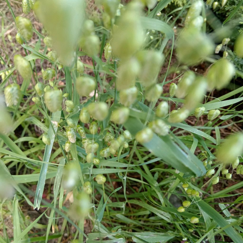 Иконка канала 🇧🇾