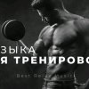 Иконка канала Алекс спортивный2