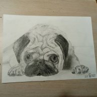 Иконка канала Уроки рисования с Алисой Сергеевой