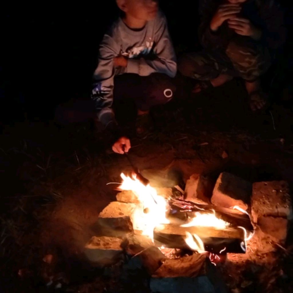 Иконка канала SANER