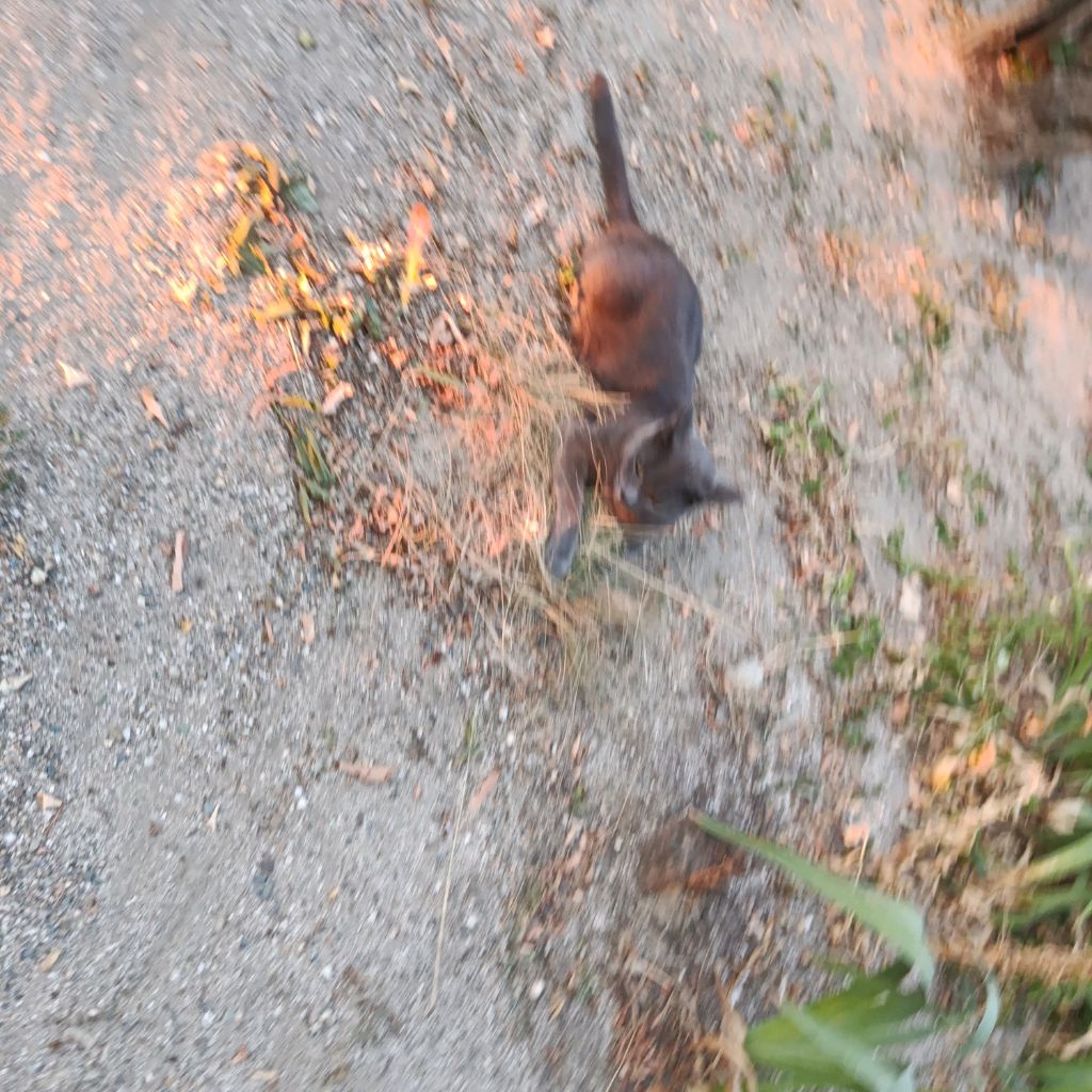 Иконка канала Кек