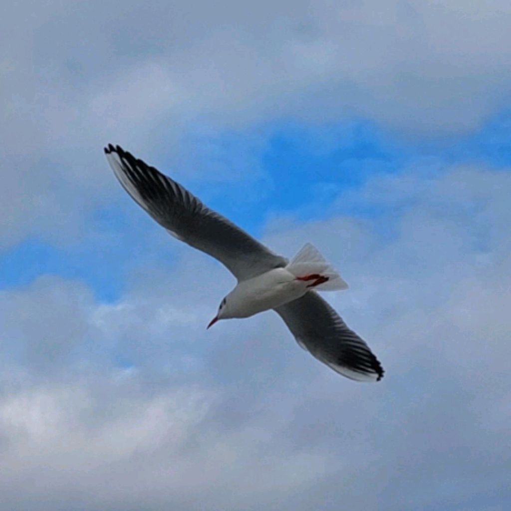 Иконка канала Стихи на заказ / Уроки Стихосложения