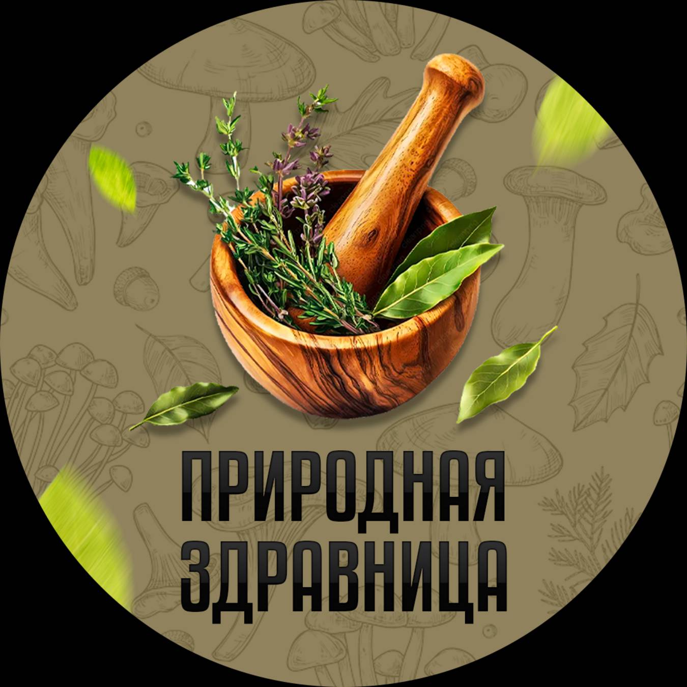 Иконка канала Природная Здравница