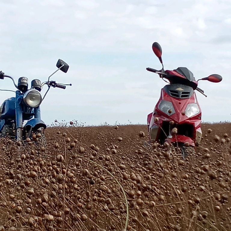 Иконка канала Стендофер Монстр