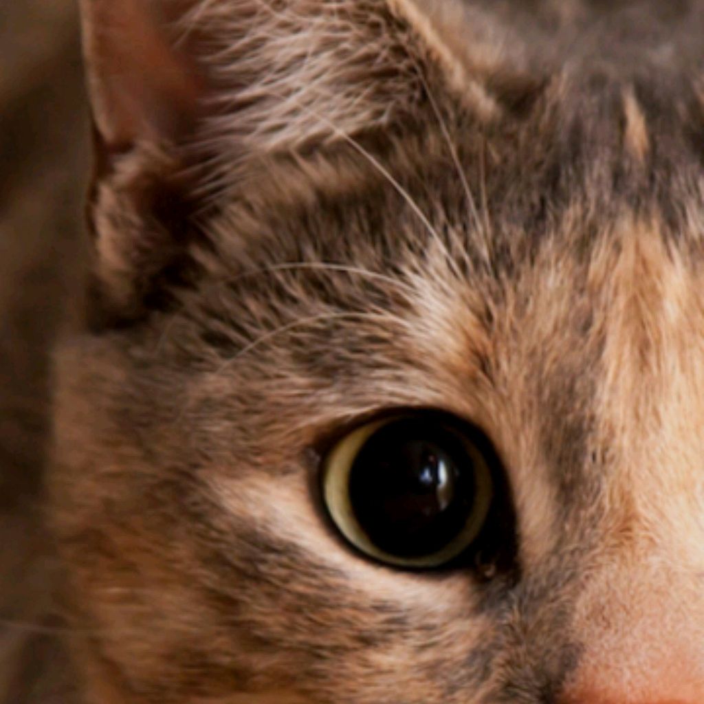 Иконка канала Mr Майнкрафт