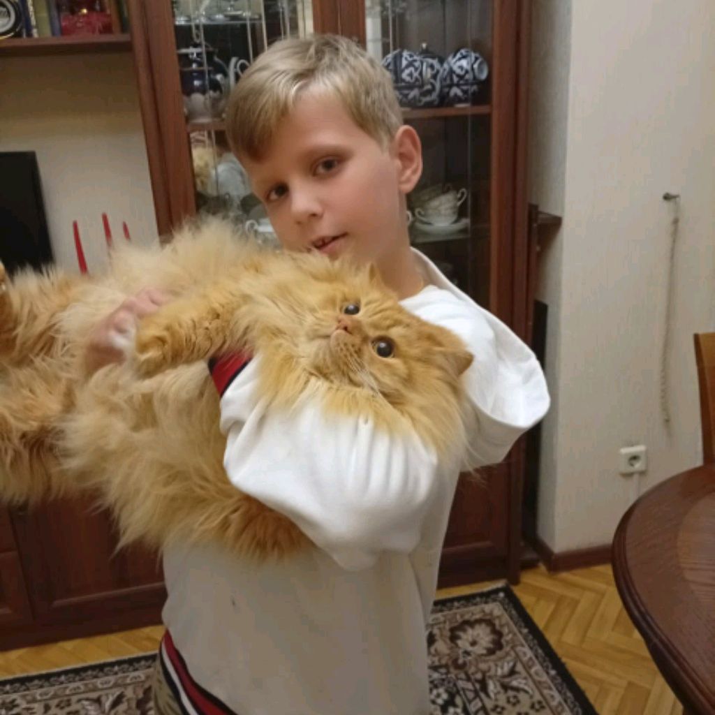 Иконка канала Моя Жизнь