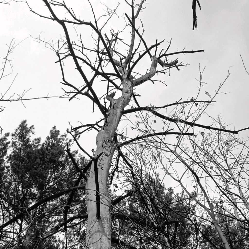 Иконка канала channel69898685