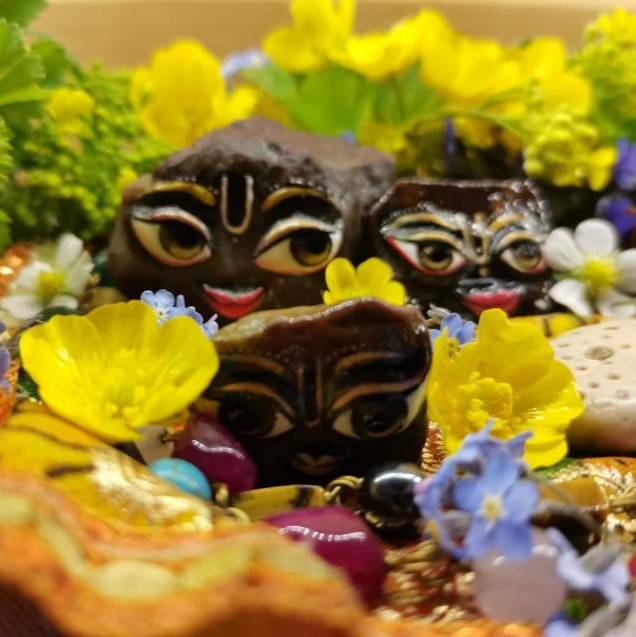 Иконка канала Govardhan