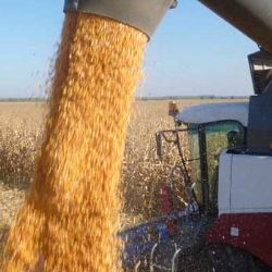 Иконка канала Програмки в 1С для с/х производителей