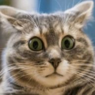 Иконка канала rombva@mail.ru