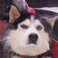 Иконка канала krasnoturinsk