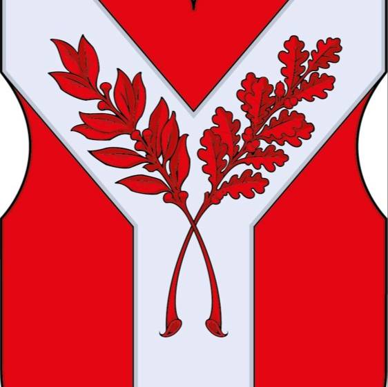 Иконка канала Муниципальный округ Красносельский