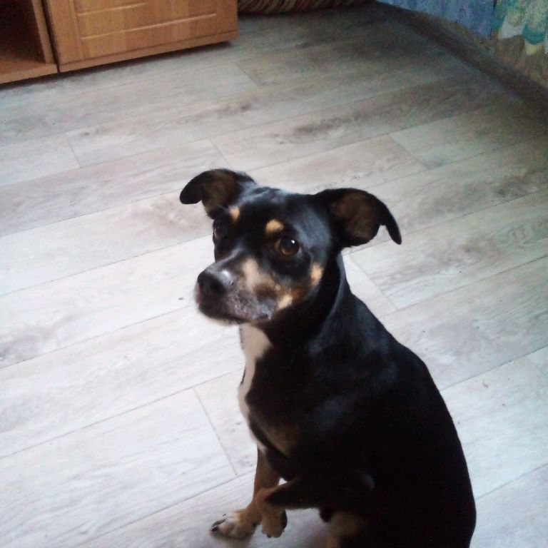 Иконка канала Игровая Вселенная