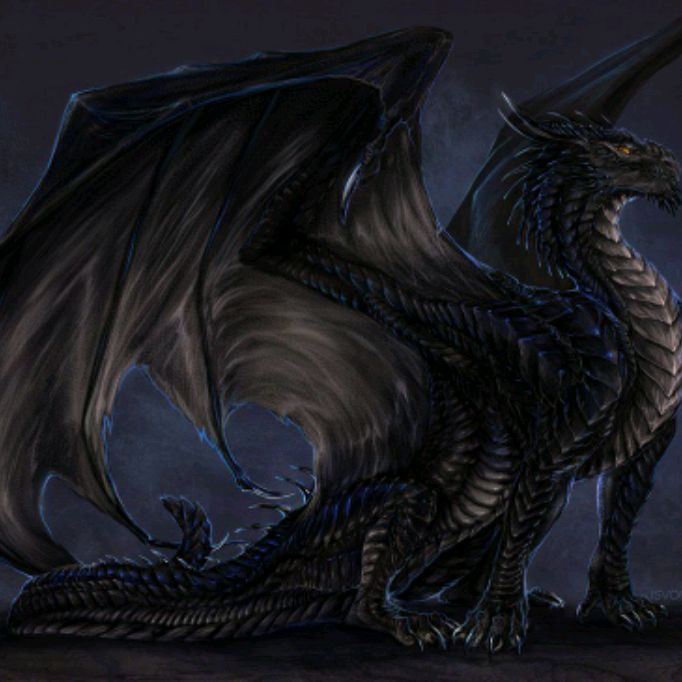 Иконка канала Holy1paladin