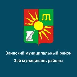 Иконка канала МО Заинский муниципальный район
