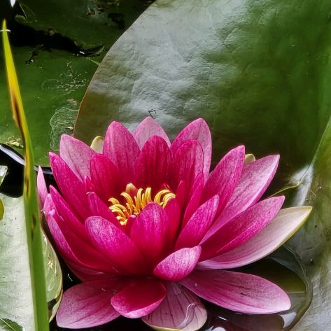 Иконка канала Ольга Роменскaя   Пророческое служение