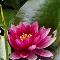 Иконка канала Ольга Роменскaя Пророческое служение