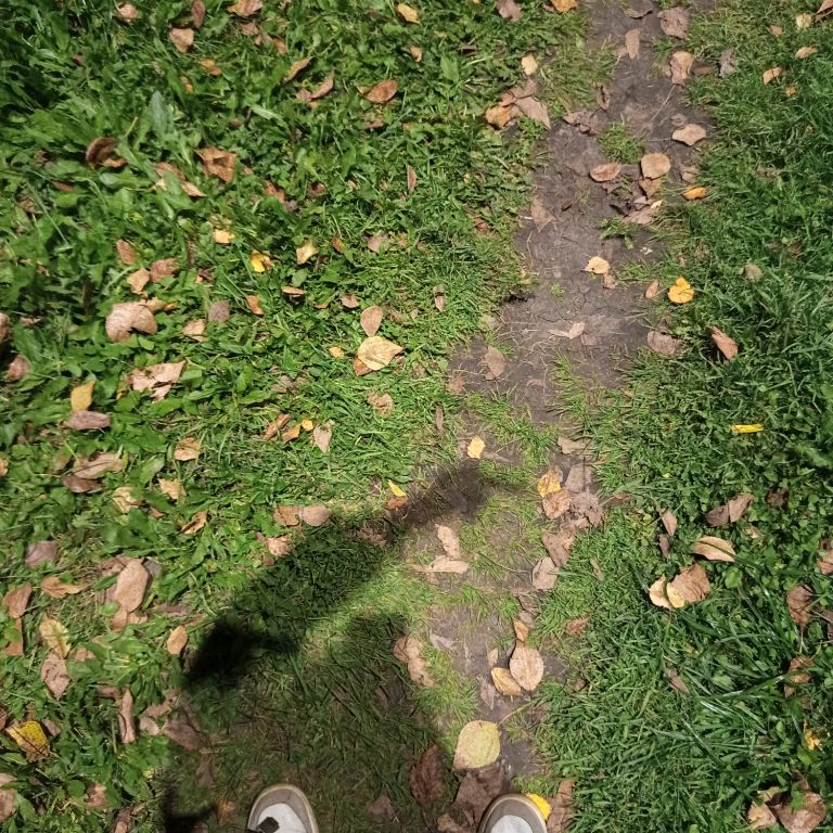 Иконка канала Стримерша Настя