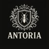 Иконка канала Antoria - другой муравейник