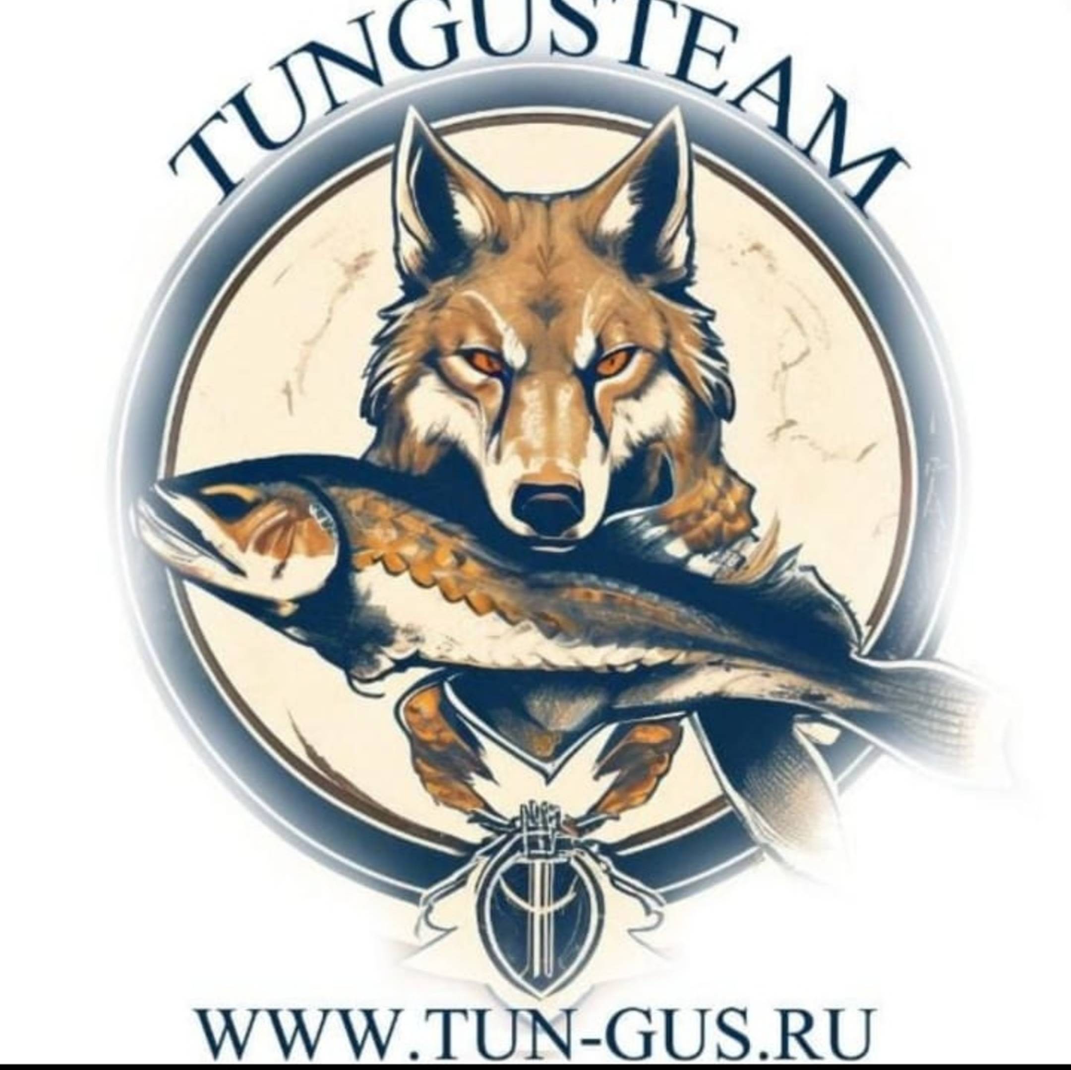 Иконка канала Tungusteam