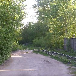 Иконка канала Survivors Studio