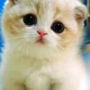 Иконка канала Игорь нерусский