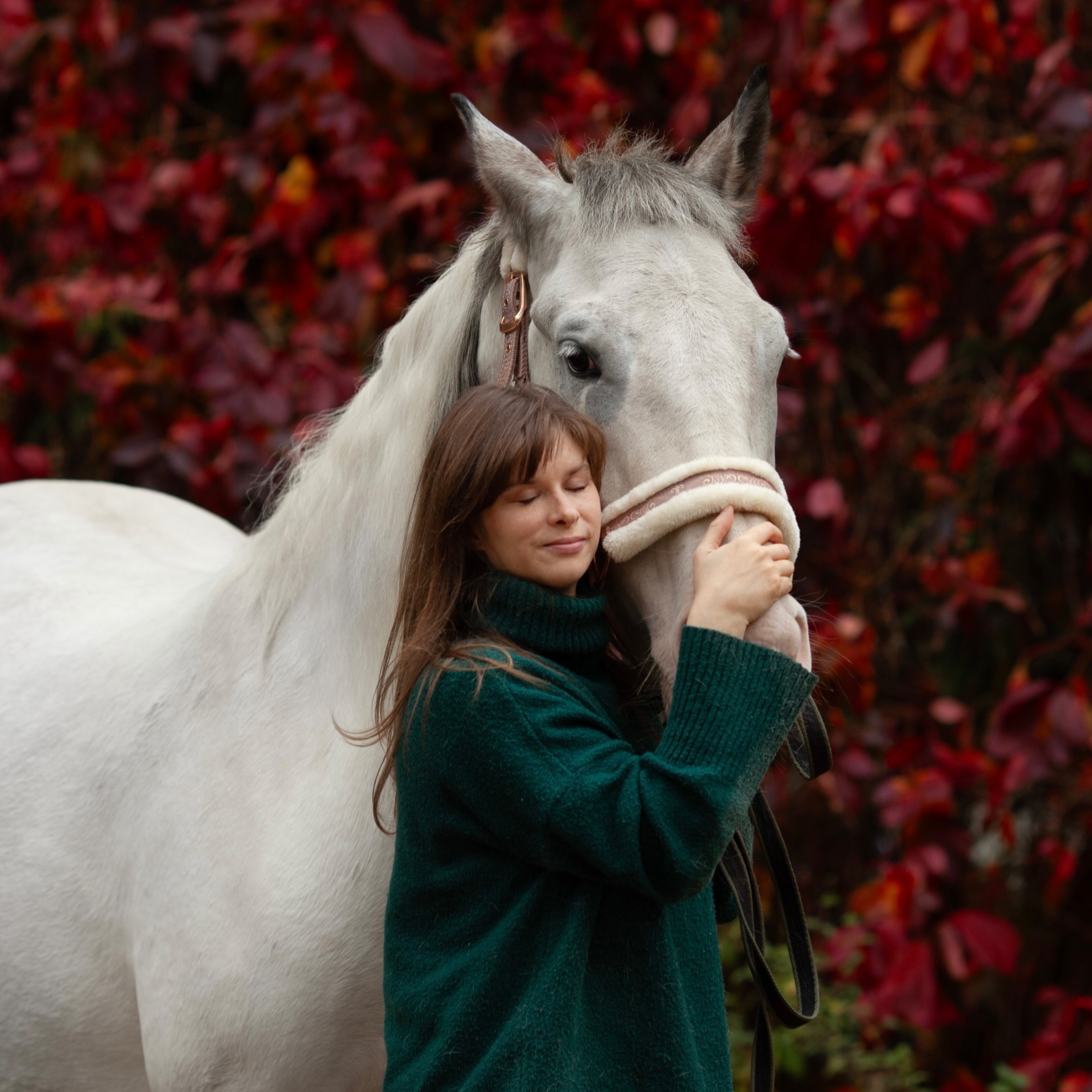 Иконка канала Коноблог Марины и Альбуса
