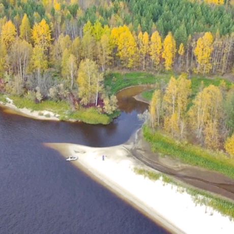 Иконка канала Охота на рыбалку