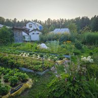 Иконка канала Карелия - Зеленая дача